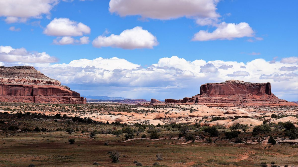 Willow Beach, AZ: Arizona Hot Springs and Emerald Cove | Charming Millers